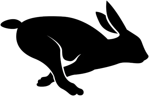 The Bandwagon Effect of Javascript Frameworks